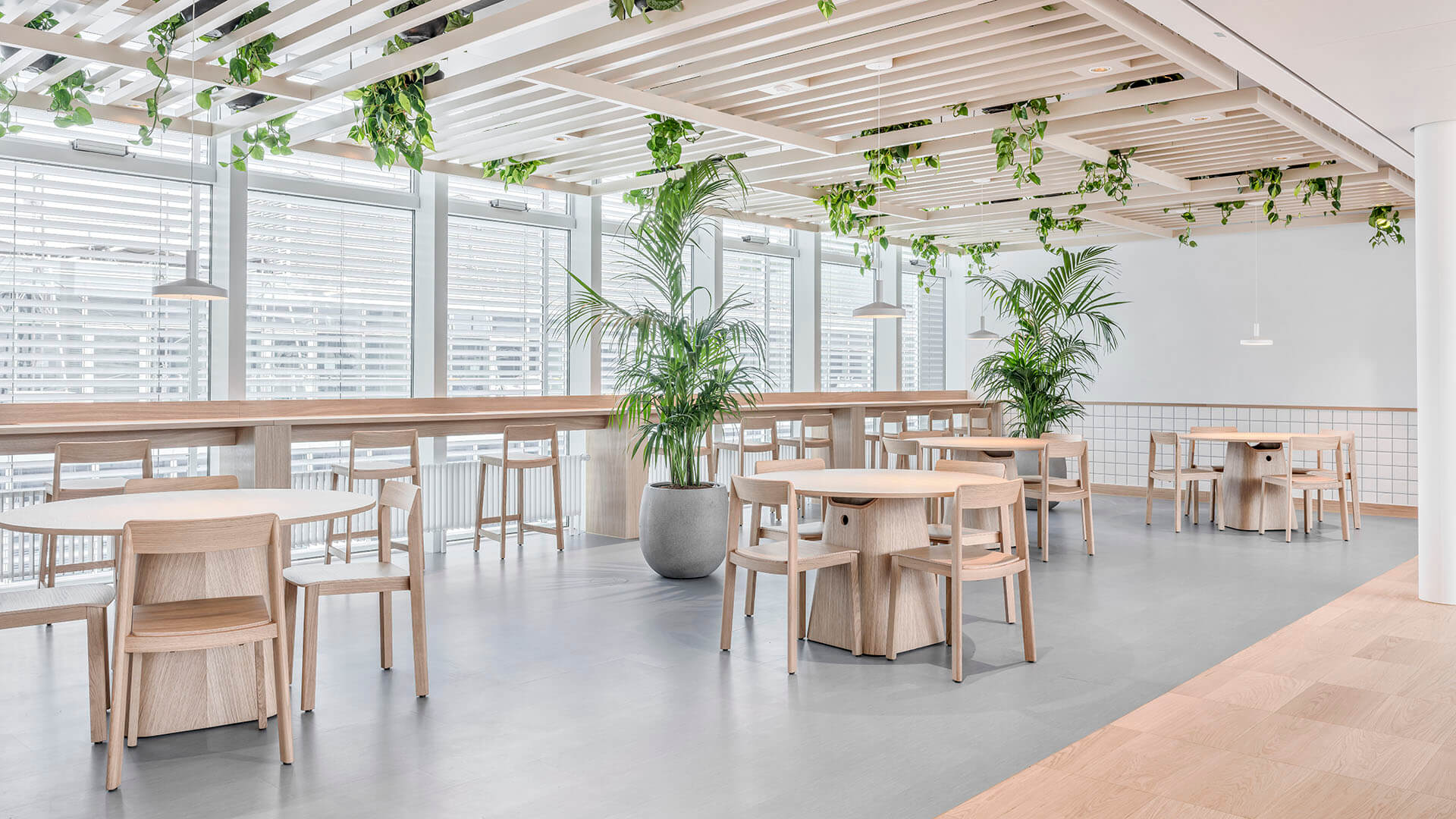 Lisa - wooden design chairs - True Design