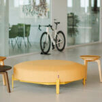 Oscar - True Design