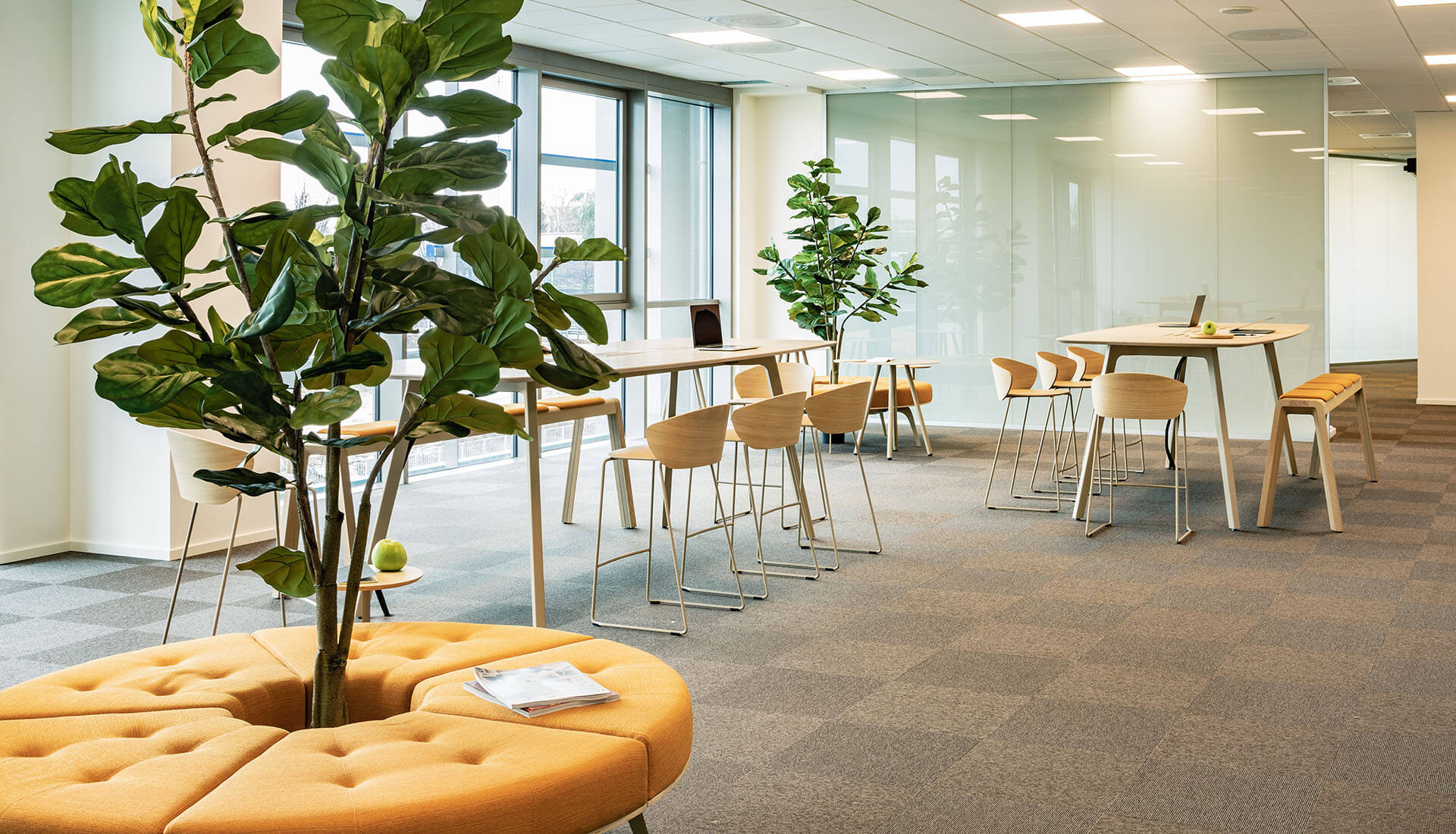 Haier Europe Headquarters - True Design