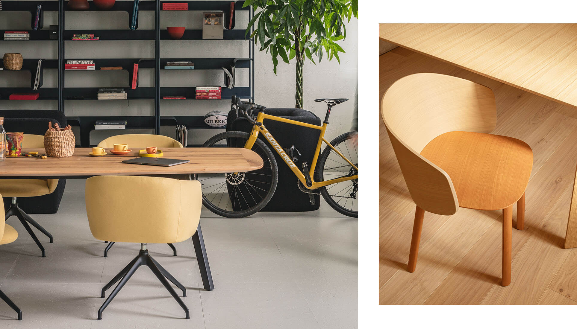 True Chairs - True Design