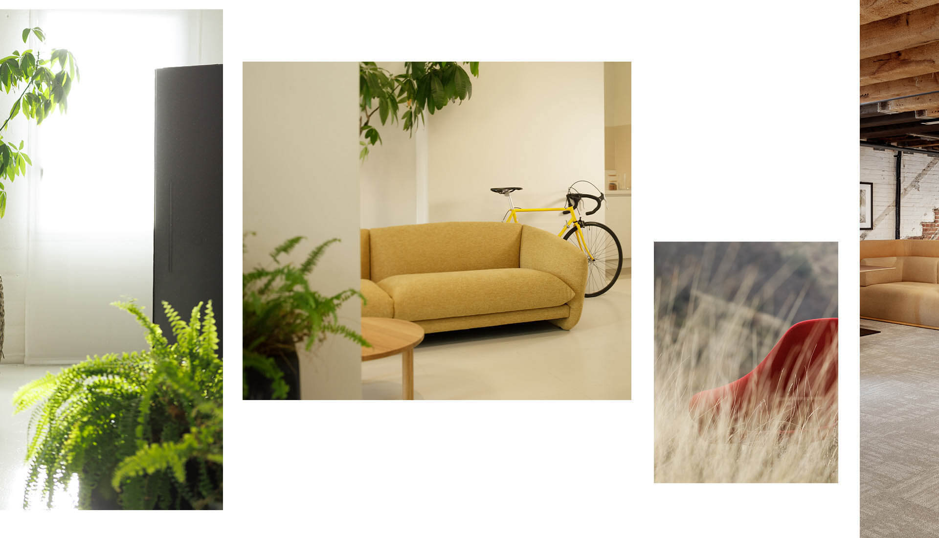 Sofas, sofas everywhere - True Design